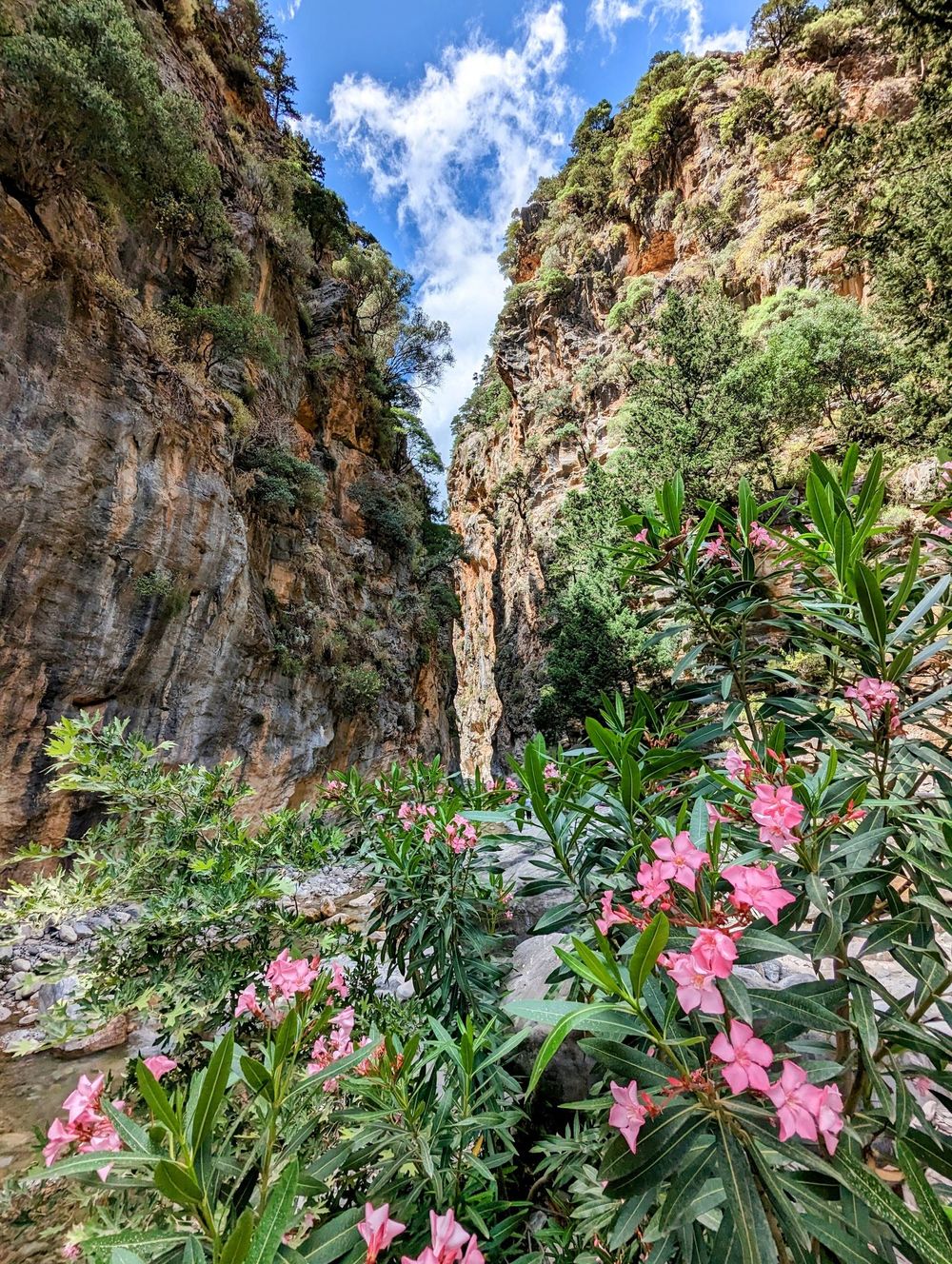 Samaria Gorge: the best hike in Crete